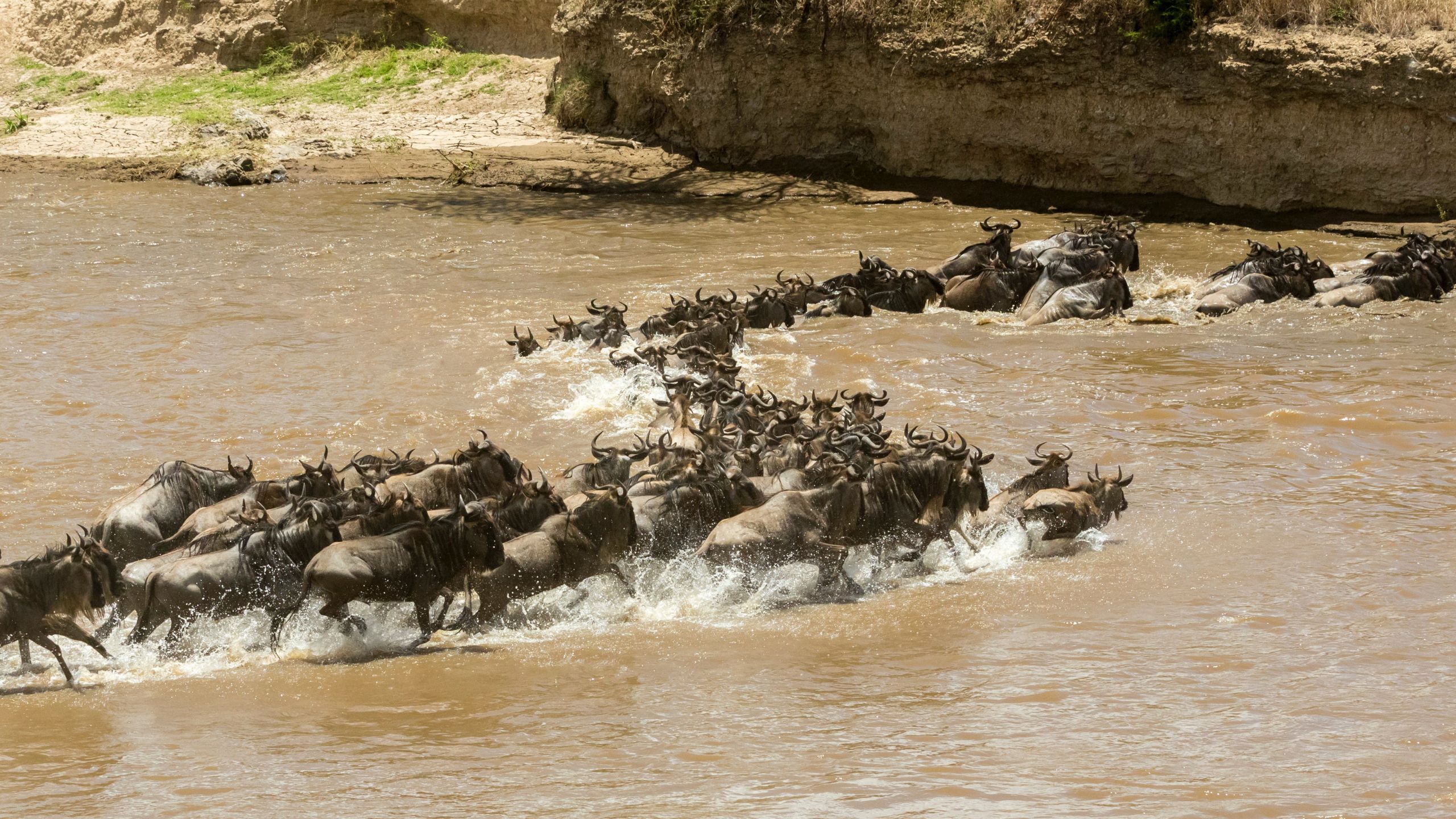 RoundTrip Safaris - Premium African Safari Experiences
