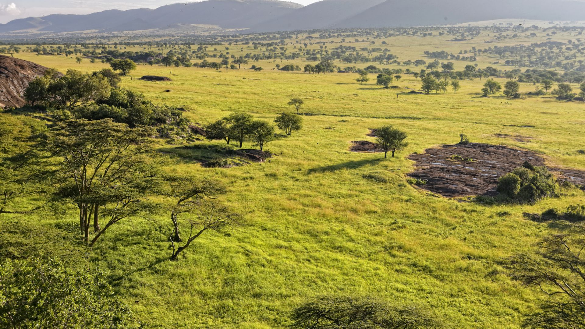 RoundTrip Safaris - Premium African Safari Experiences